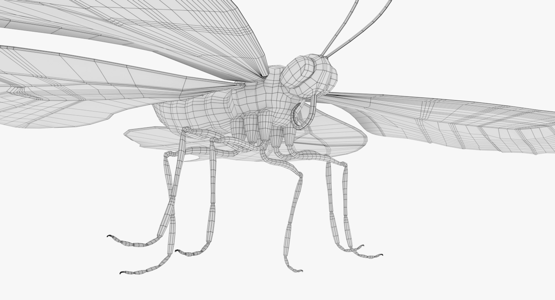 3D Butterfly - TurboSquid 1300339