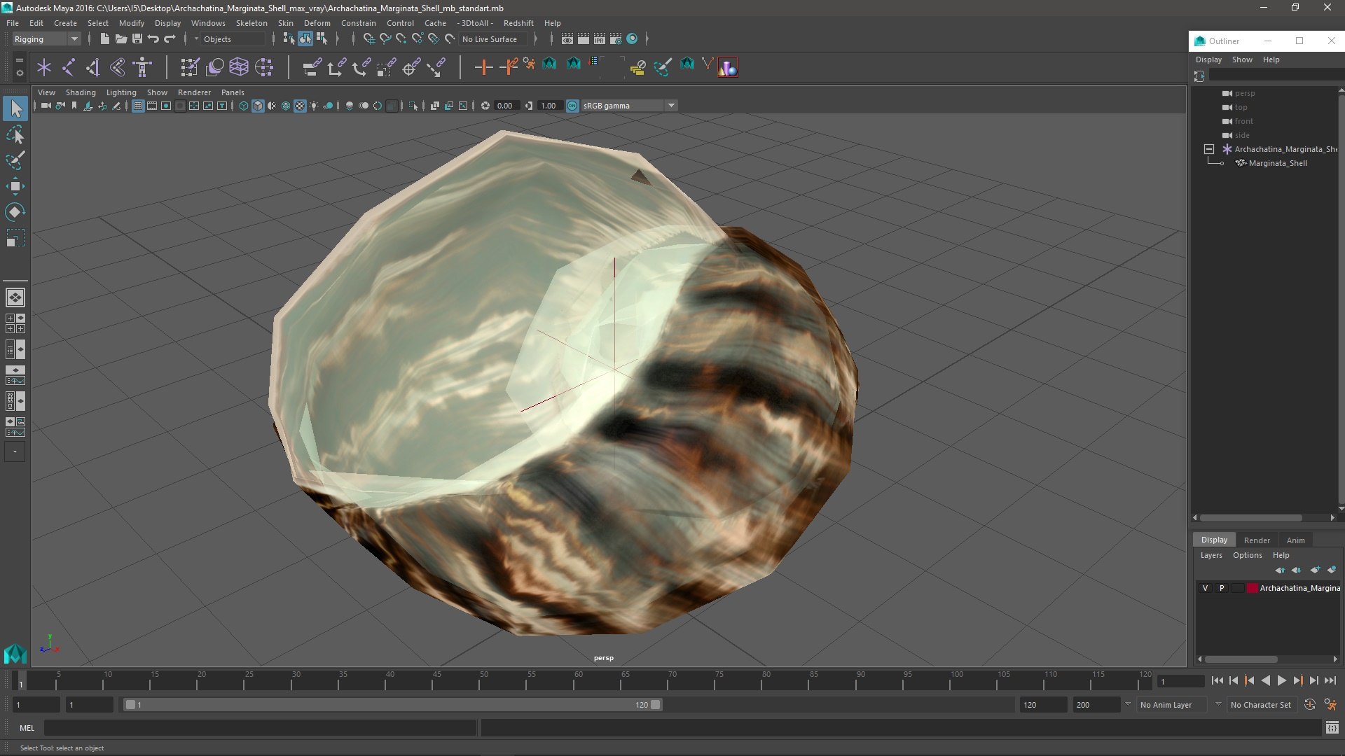 3D Archachatina Marginata Shell - TurboSquid 2232280