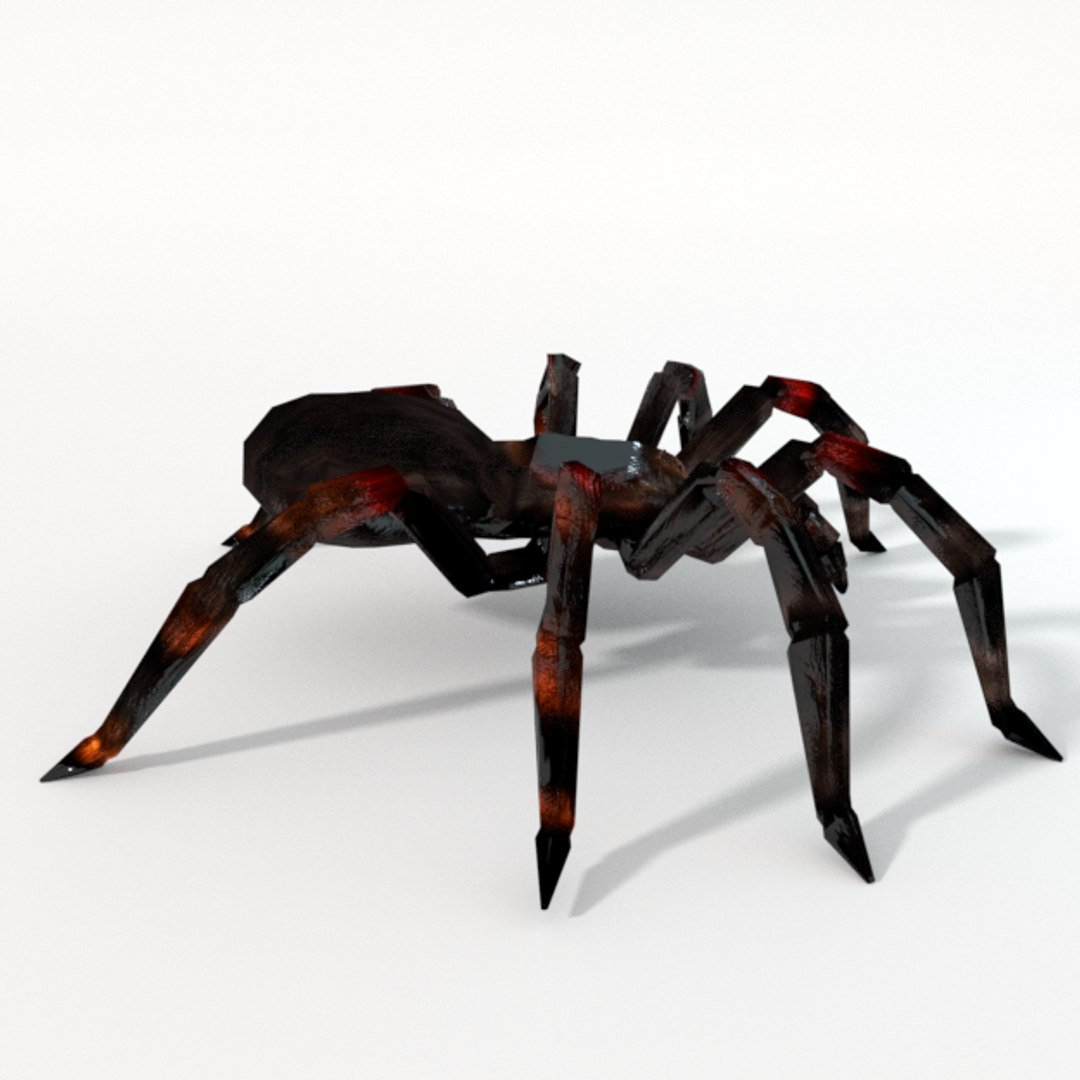 3D Tarantula - TurboSquid 1318863
