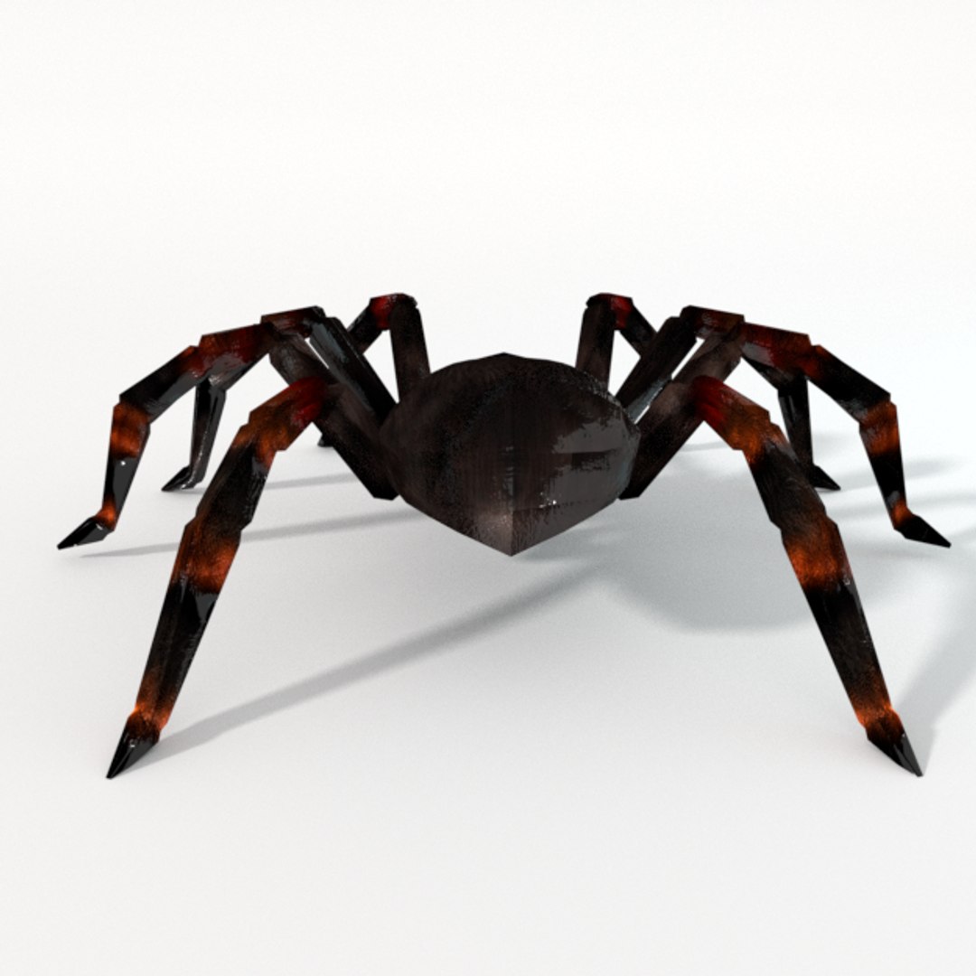 3D Tarantula - TurboSquid 1318863
