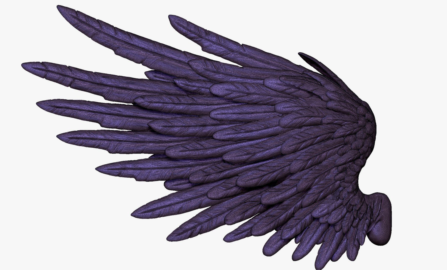 3D Feathered Wings Pack - Eagle - Hawk 3D Print Model - TurboSquid 1955218