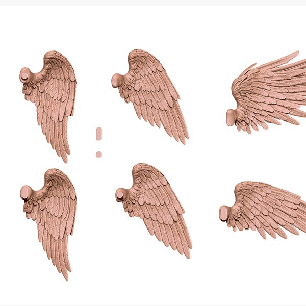 3D Feathered Wings Pack - Eagle - Hawk 3D print model - TurboSquid 1955218