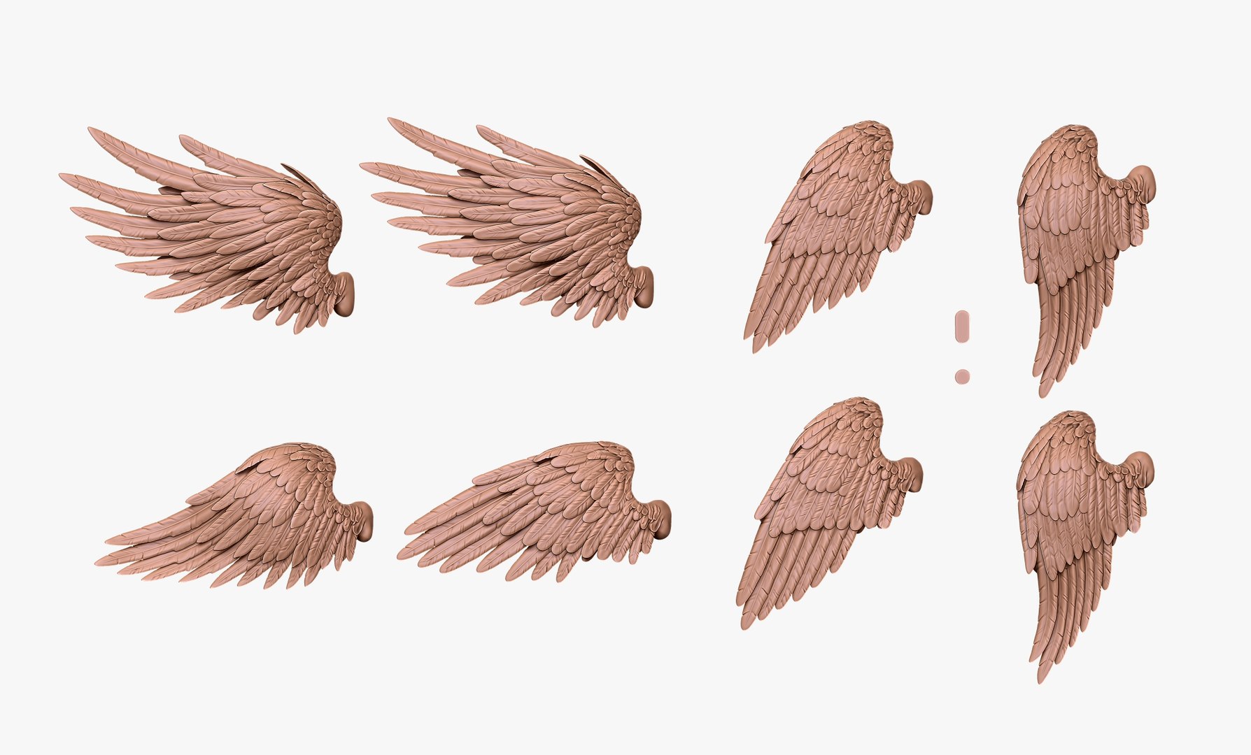 3D Feathered Wings Pack - Eagle - Hawk 3D Print Model - TurboSquid 1955218