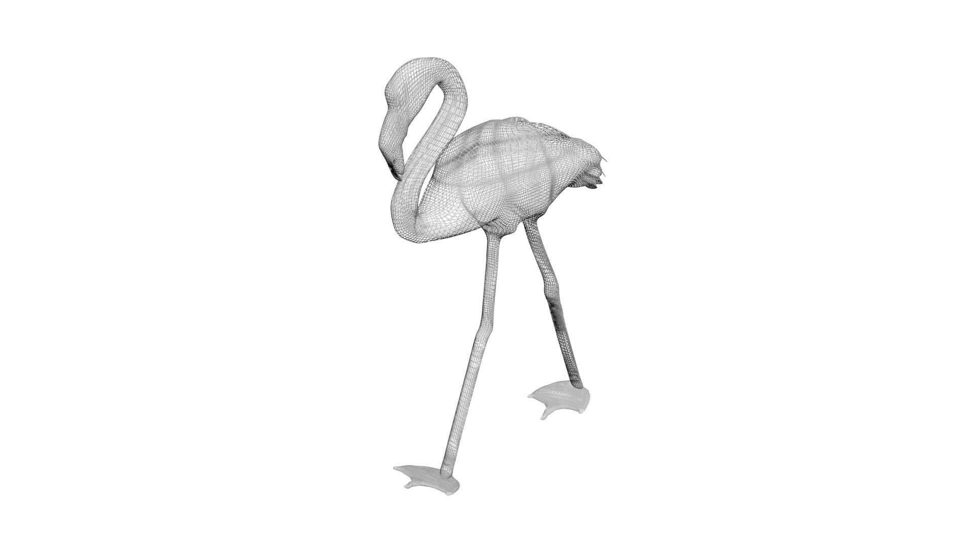 Flamingo 3D Model - TurboSquid 1923208