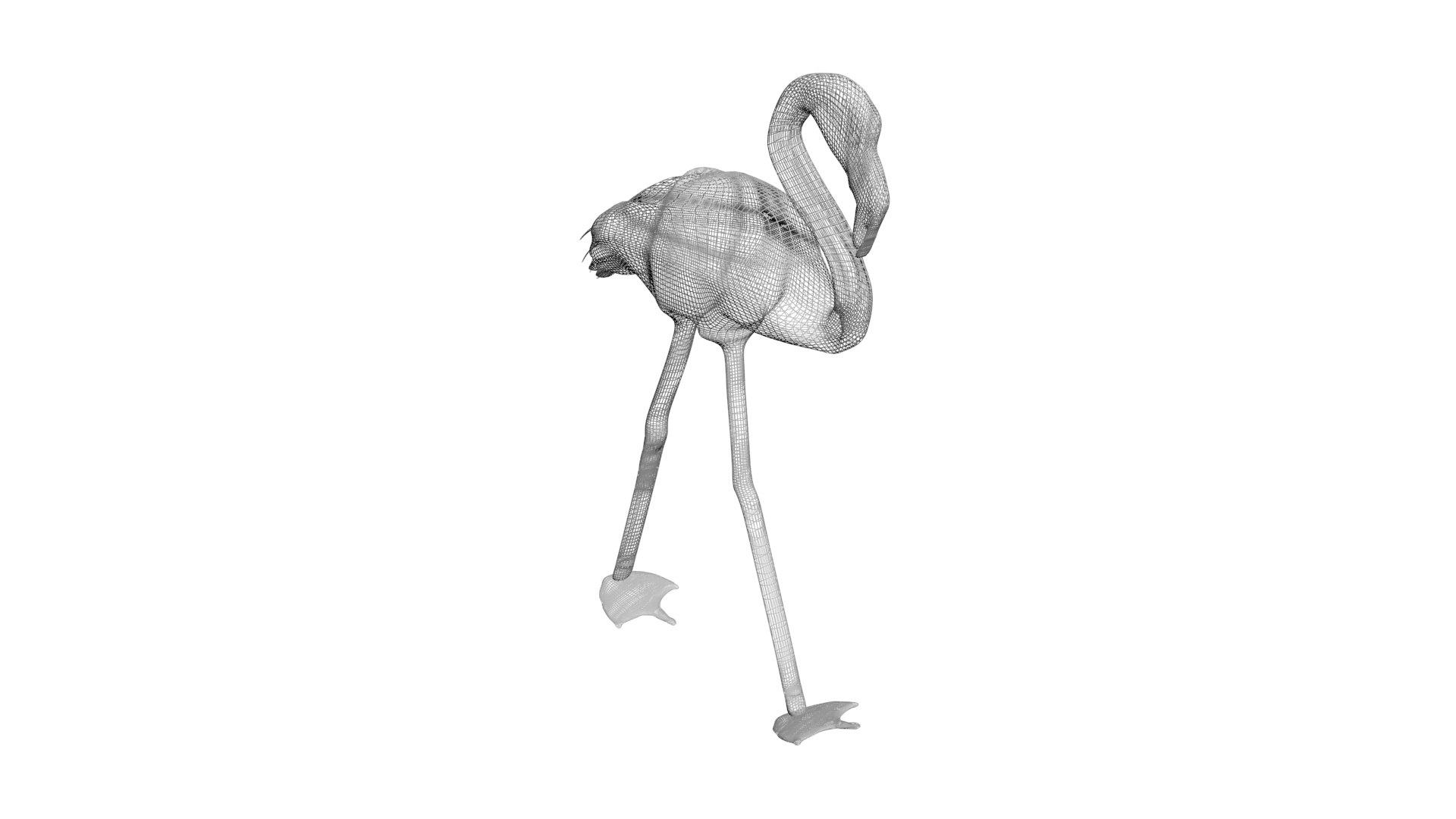 Flamingo 3D Model - TurboSquid 1923208