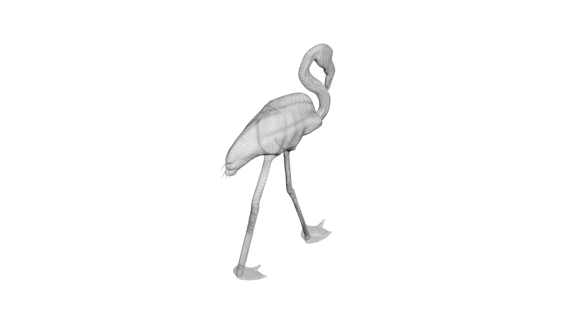 Flamingo 3D Model - TurboSquid 1923208