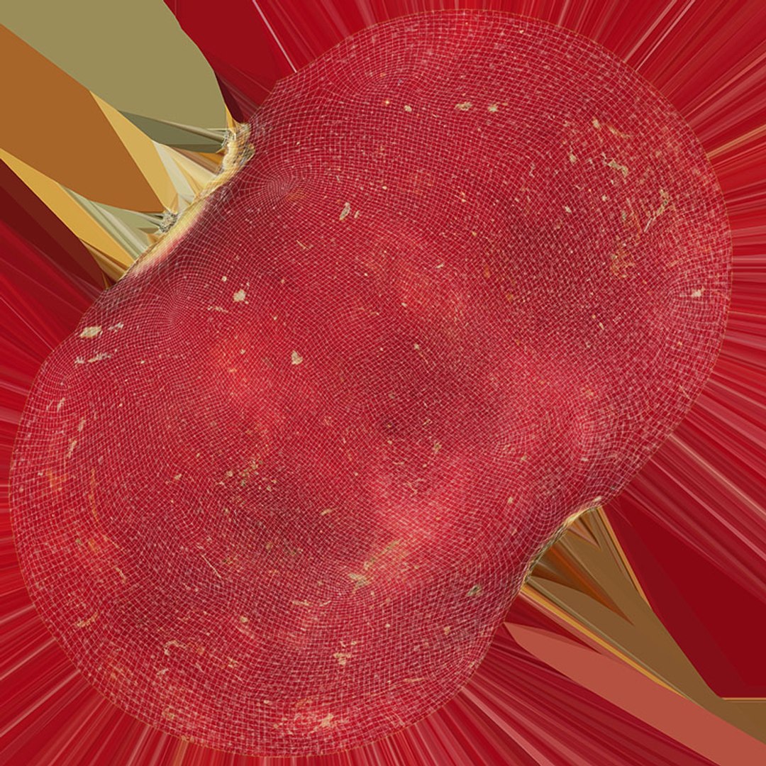 3D Model Passion Fruit Collection - TurboSquid 2248627