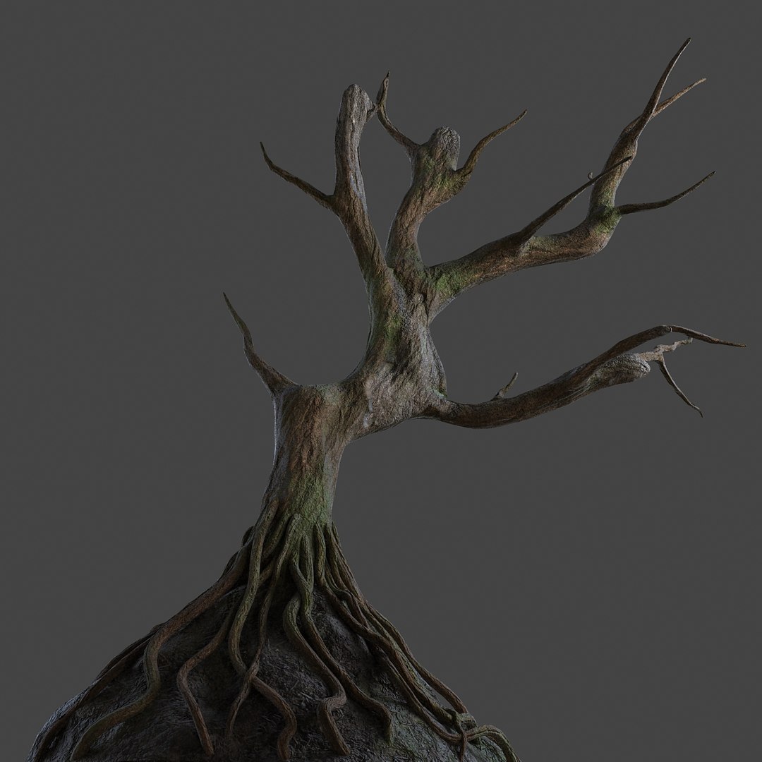 3D Model Old Tree - TurboSquid 1174310