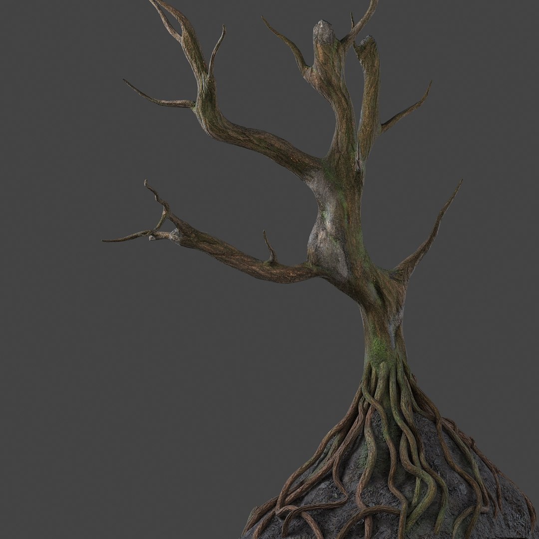 3D Model Old Tree - TurboSquid 1174310