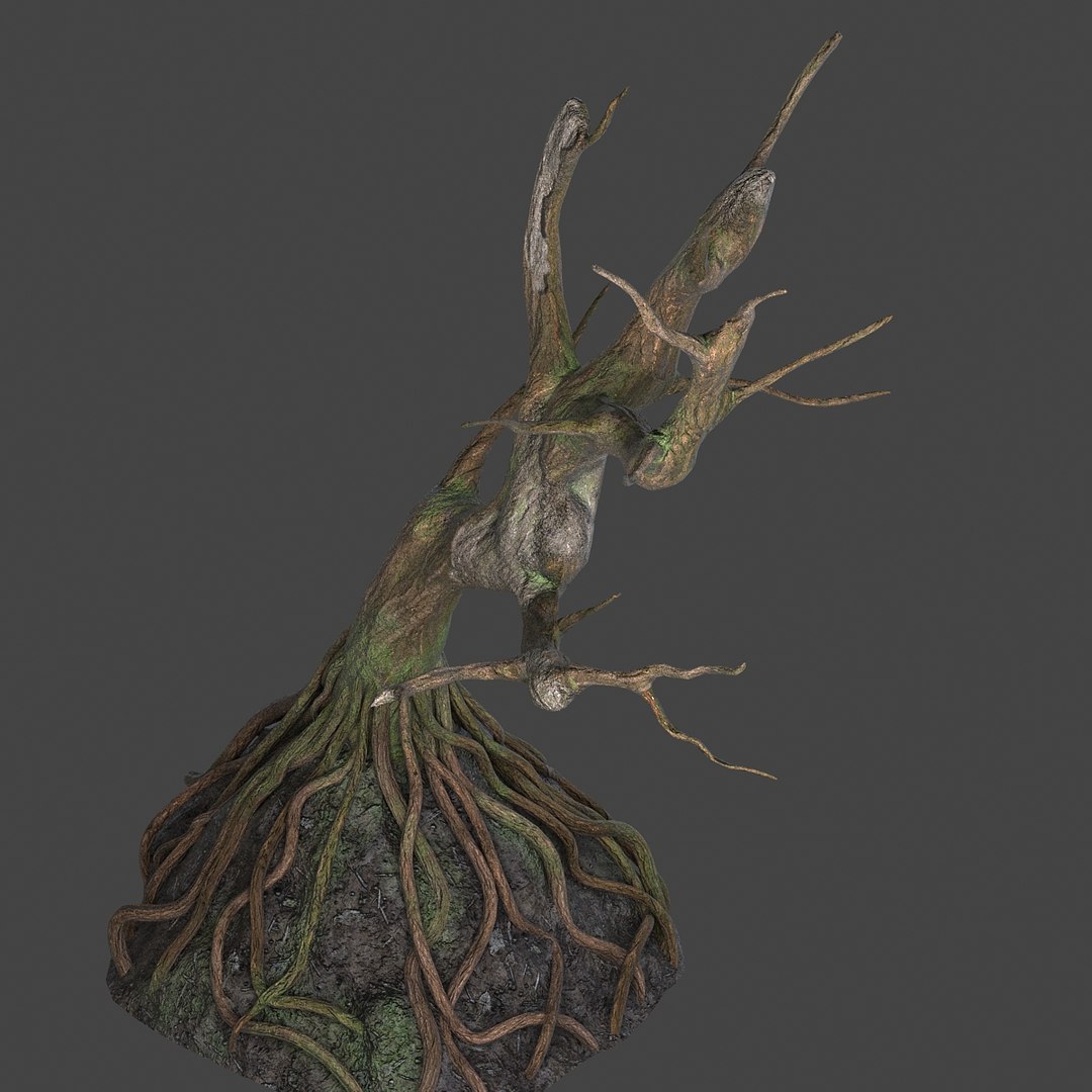 3D Model Old Tree - TurboSquid 1174310