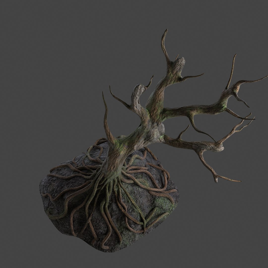 3D Model Old Tree - TurboSquid 1174310