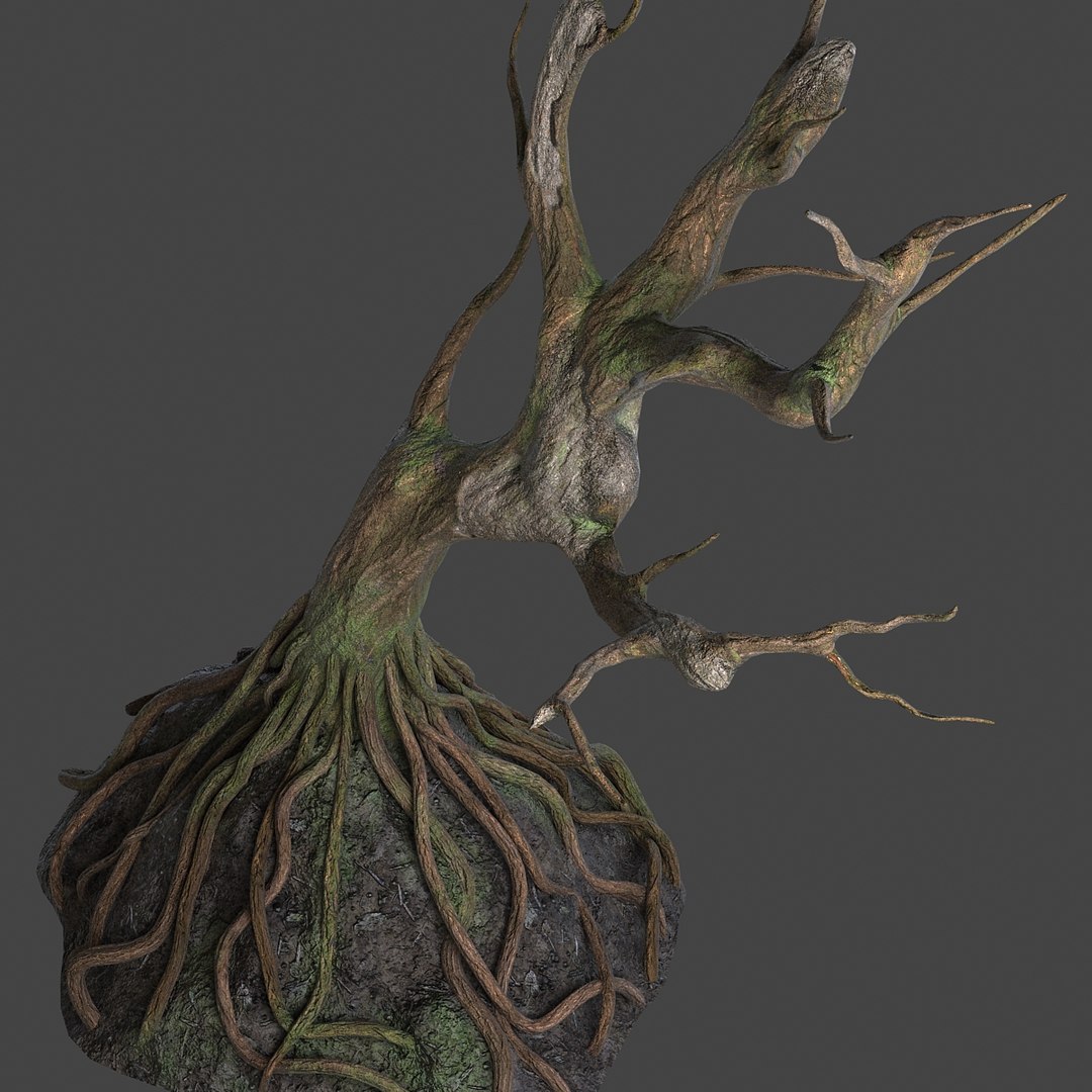 3D Model Old Tree - TurboSquid 1174310