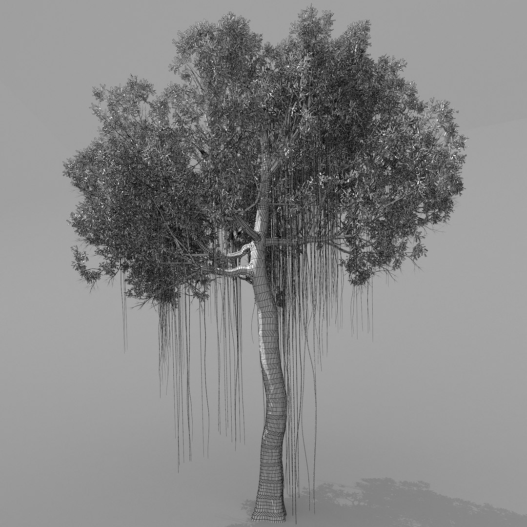 3D realistic tree - TurboSquid 1288071