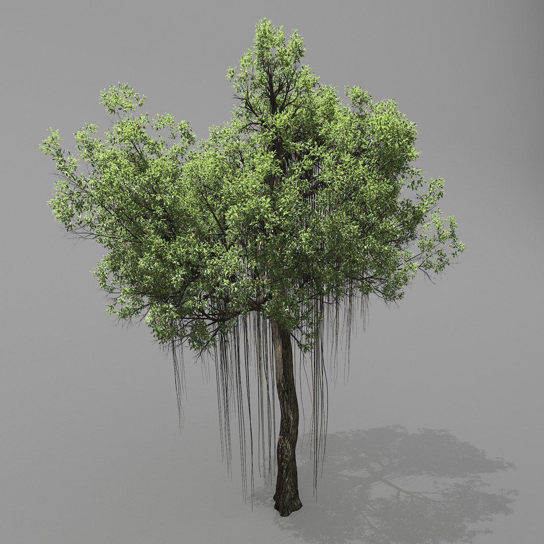 3D realistic tree - TurboSquid 1288071