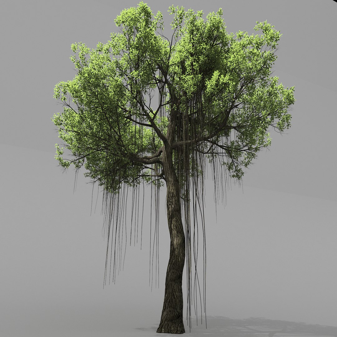3D realistic tree - TurboSquid 1288071
