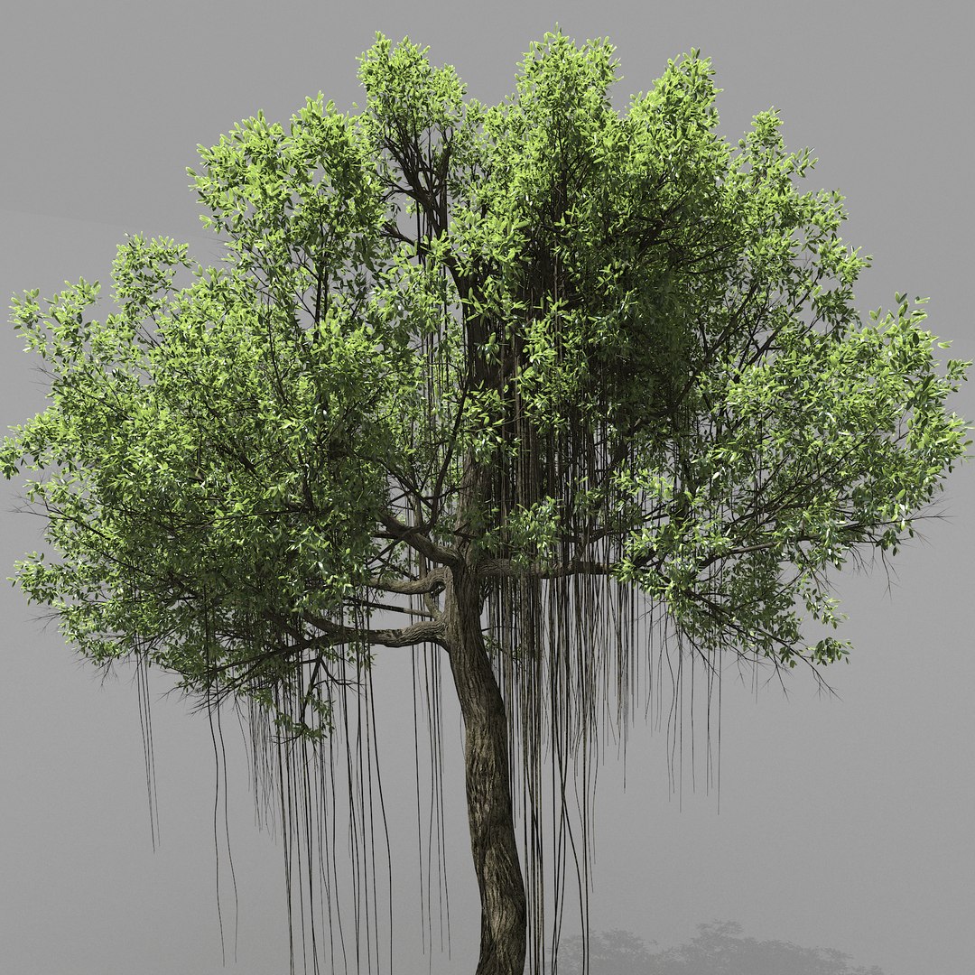 3D realistic tree - TurboSquid 1288071