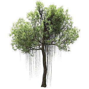 3D Tree Avatar Models - Browse & Download Formats - TurboSquid
