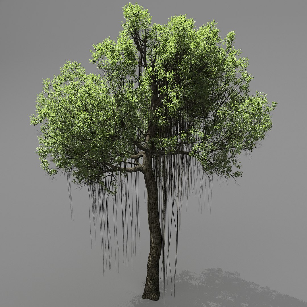 3D realistic tree - TurboSquid 1288071