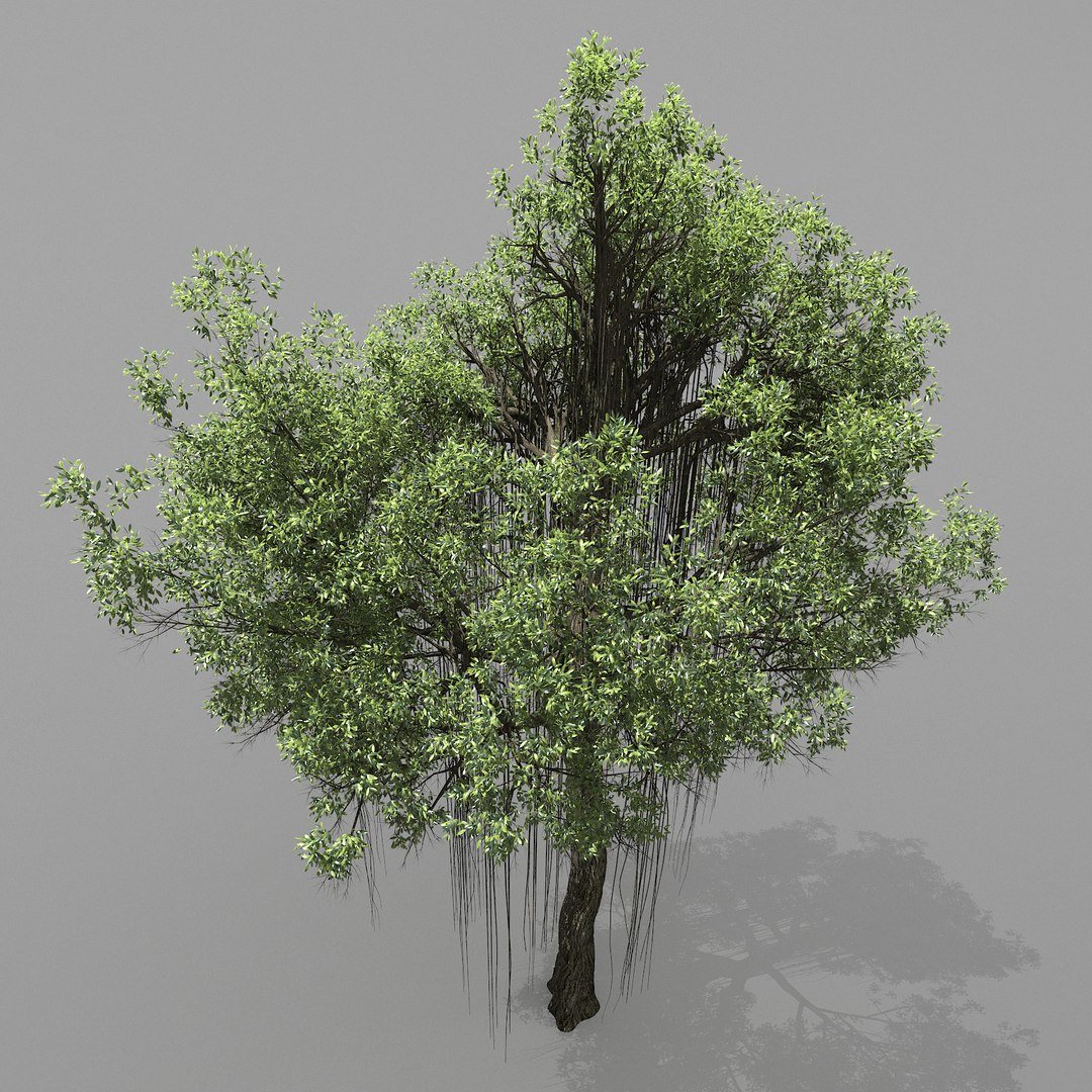 3D realistic tree - TurboSquid 1288071