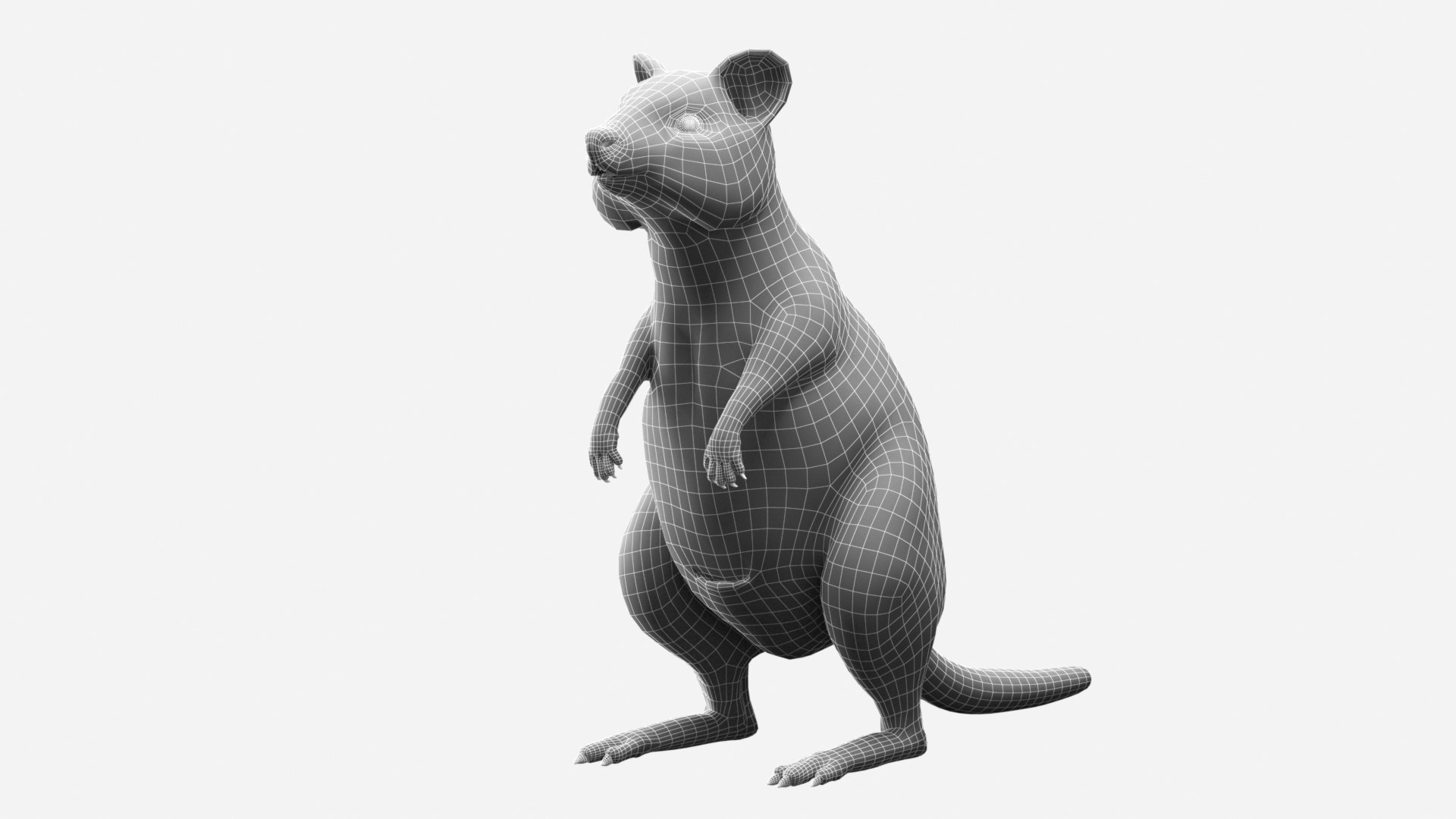 3D Quokka Ornatrix Ephere Model - TurboSquid 1453620