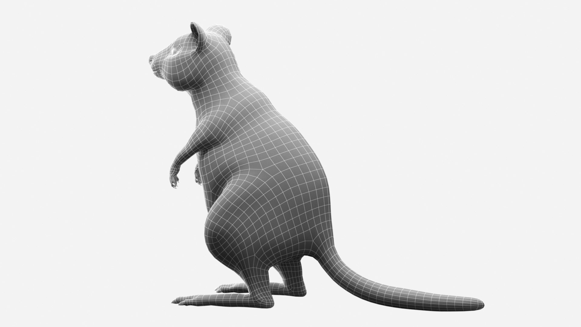 3D Quokka Ornatrix Ephere Model - TurboSquid 1453620