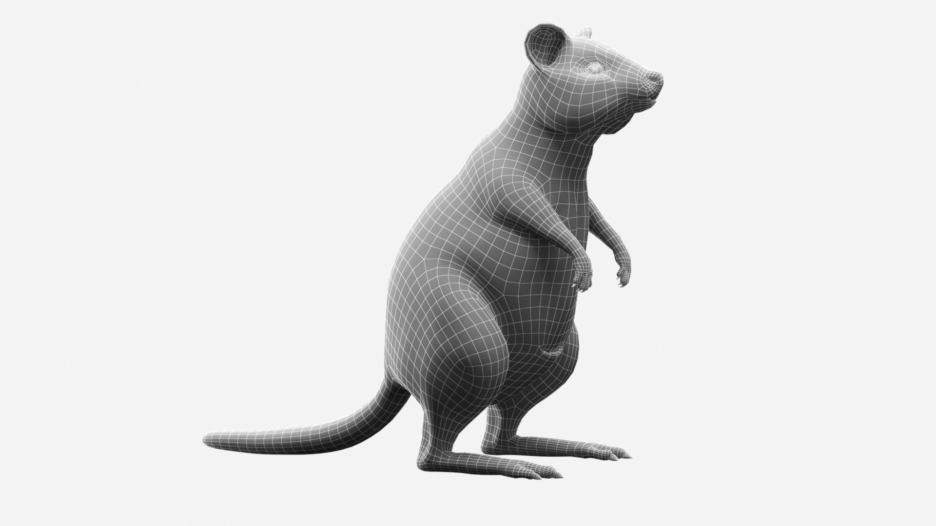 3D Quokka Ornatrix Ephere Model - TurboSquid 1453620