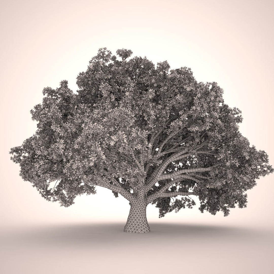 3ds max english oak tree