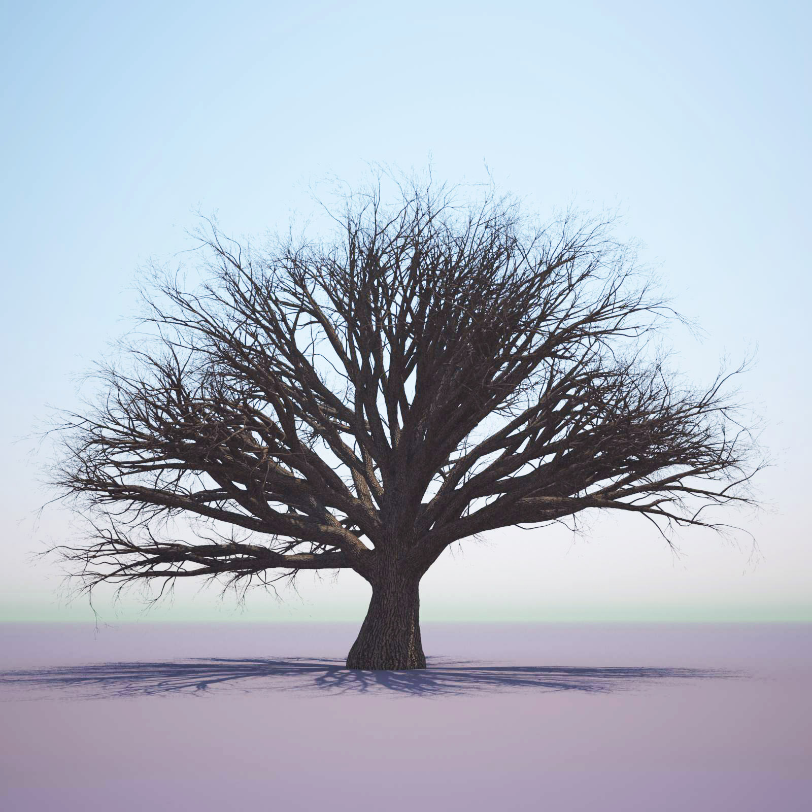 3ds max english oak tree