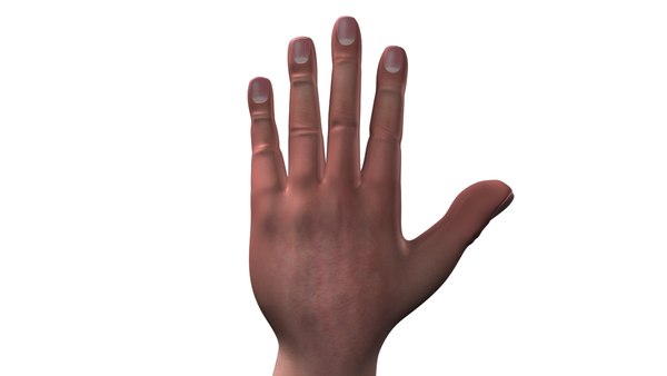 3d hand thumbs model