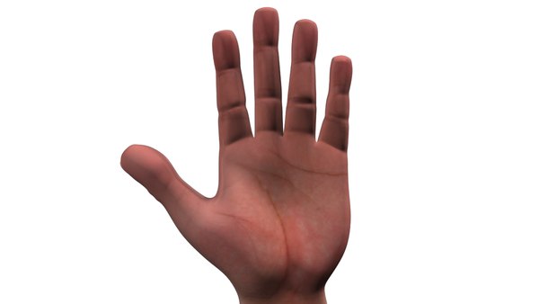 3d hand thumbs model