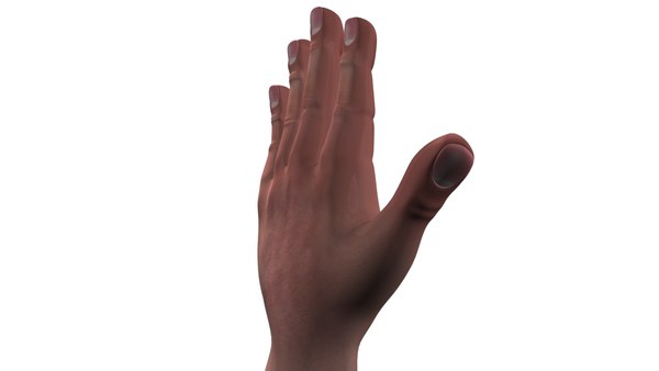 3d hand thumbs model