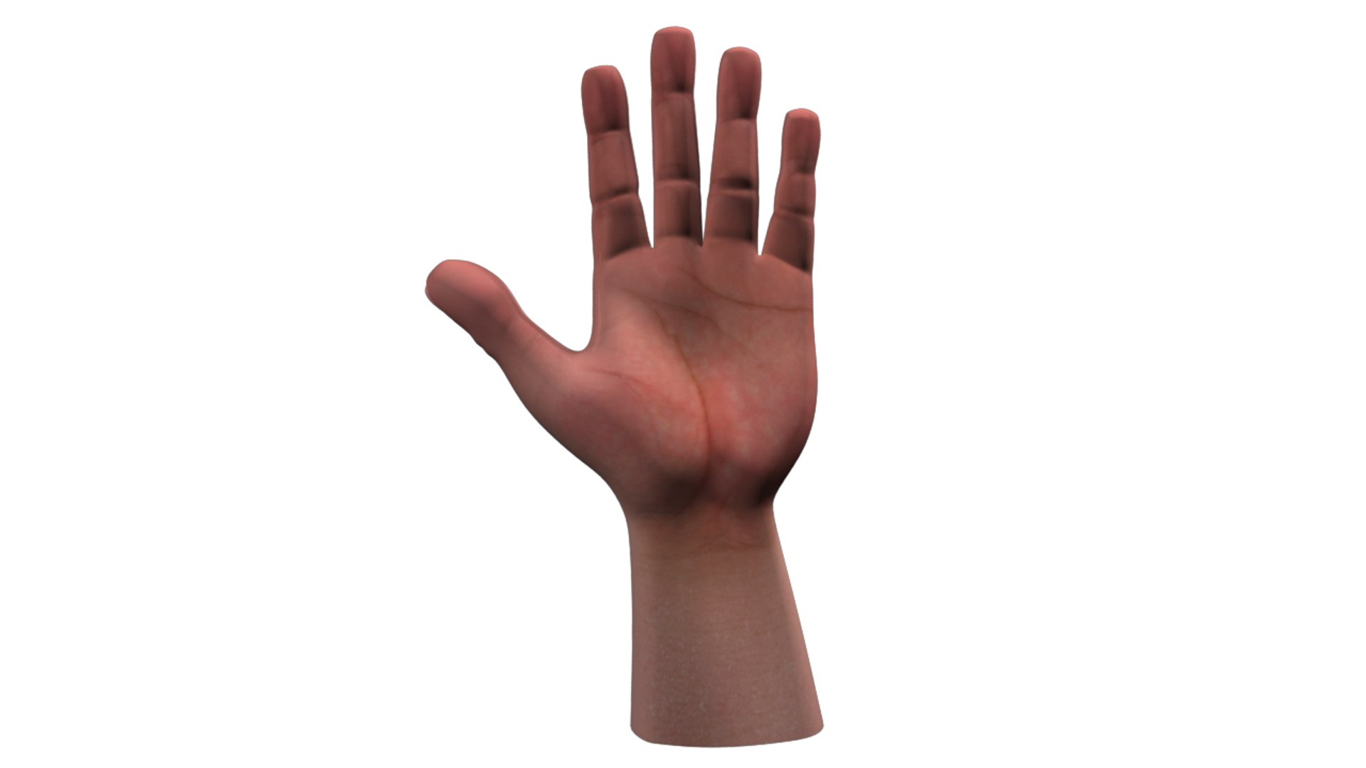 3d Hand Thumbs Model