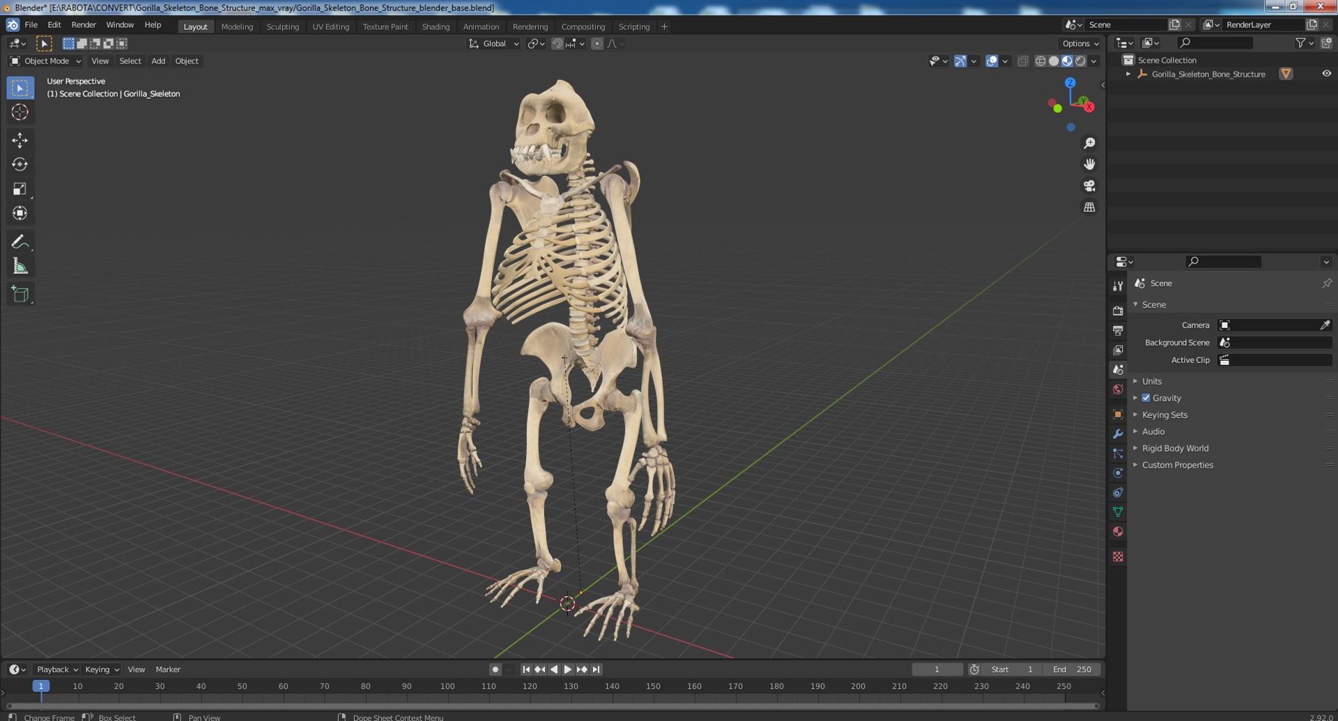 3D Gorilla Skeleton Bone Structure model - TurboSquid 2061185