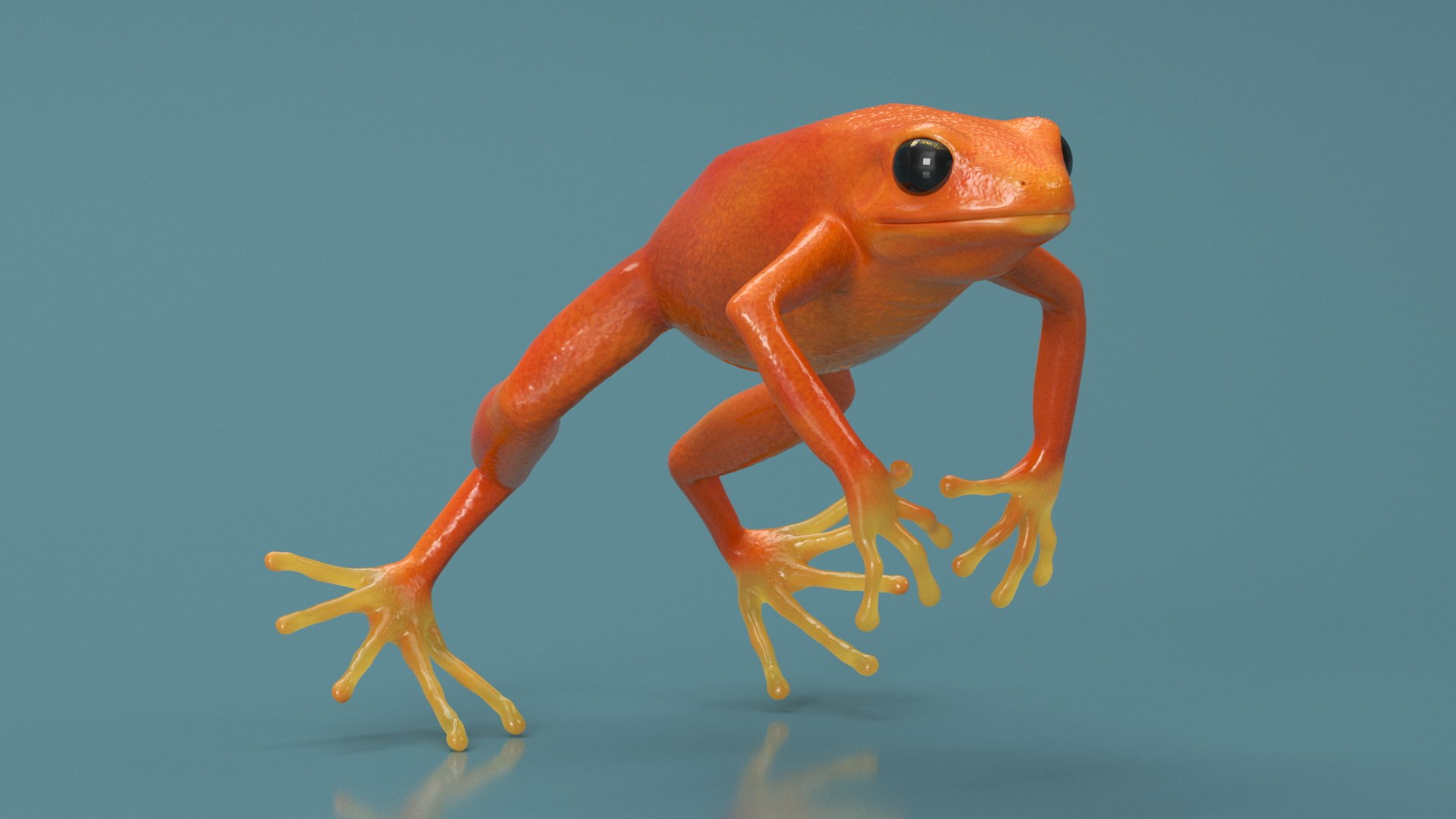 Mantella Frog Jumping Model - TurboSquid 2279299