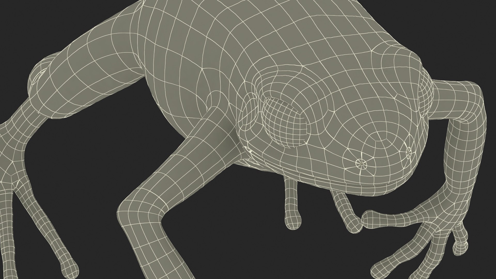 Mantella Frog Jumping Model - TurboSquid 2279299