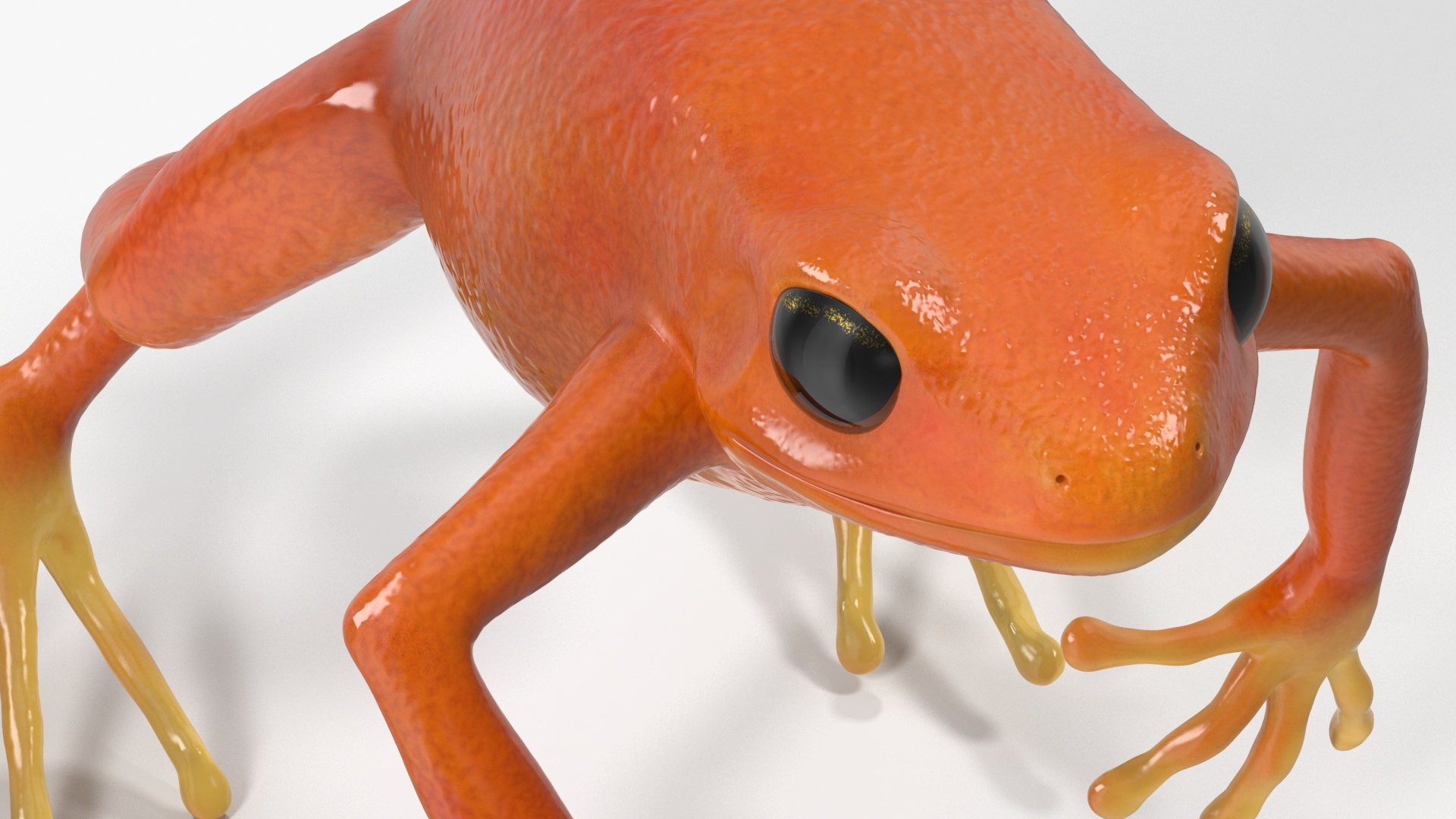 Mantella Frog Jumping Model - TurboSquid 2279299