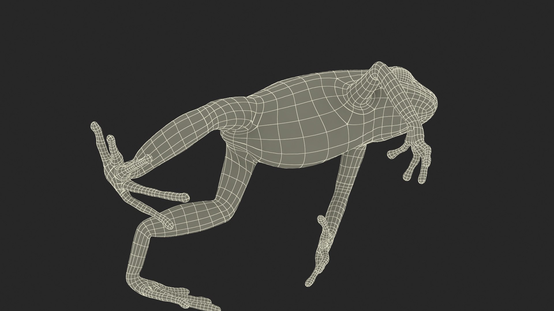 Mantella Frog Jumping Model - TurboSquid 2279299