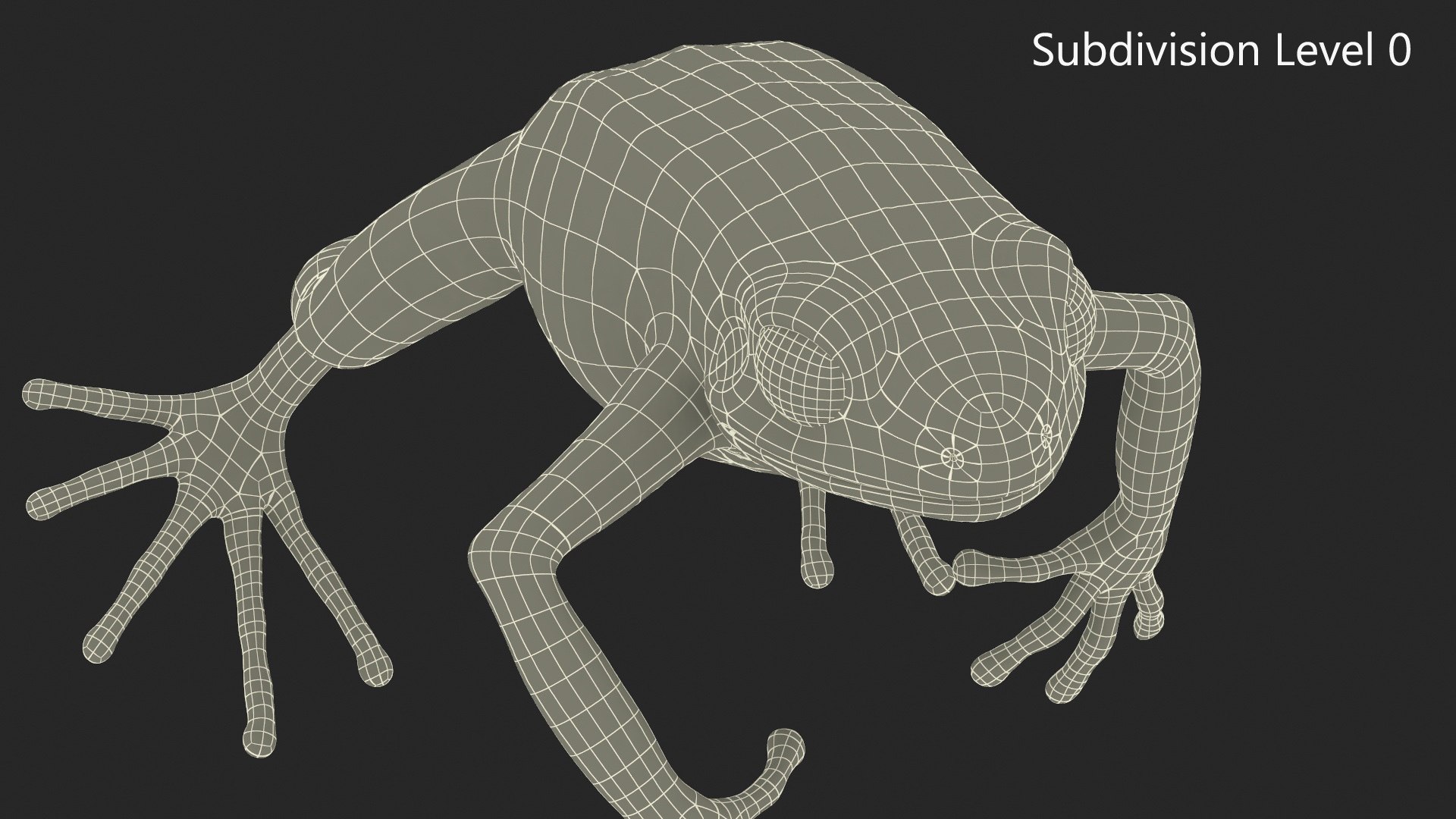 Mantella Frog Jumping Model - TurboSquid 2279299