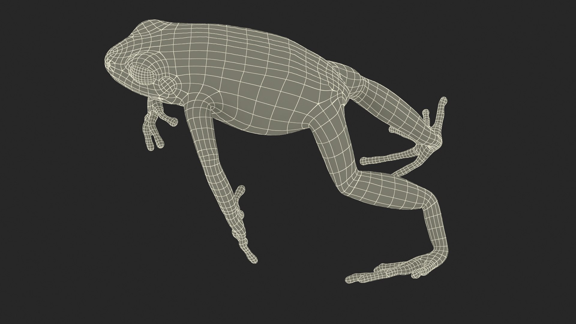 Mantella Frog Jumping Model - TurboSquid 2279299