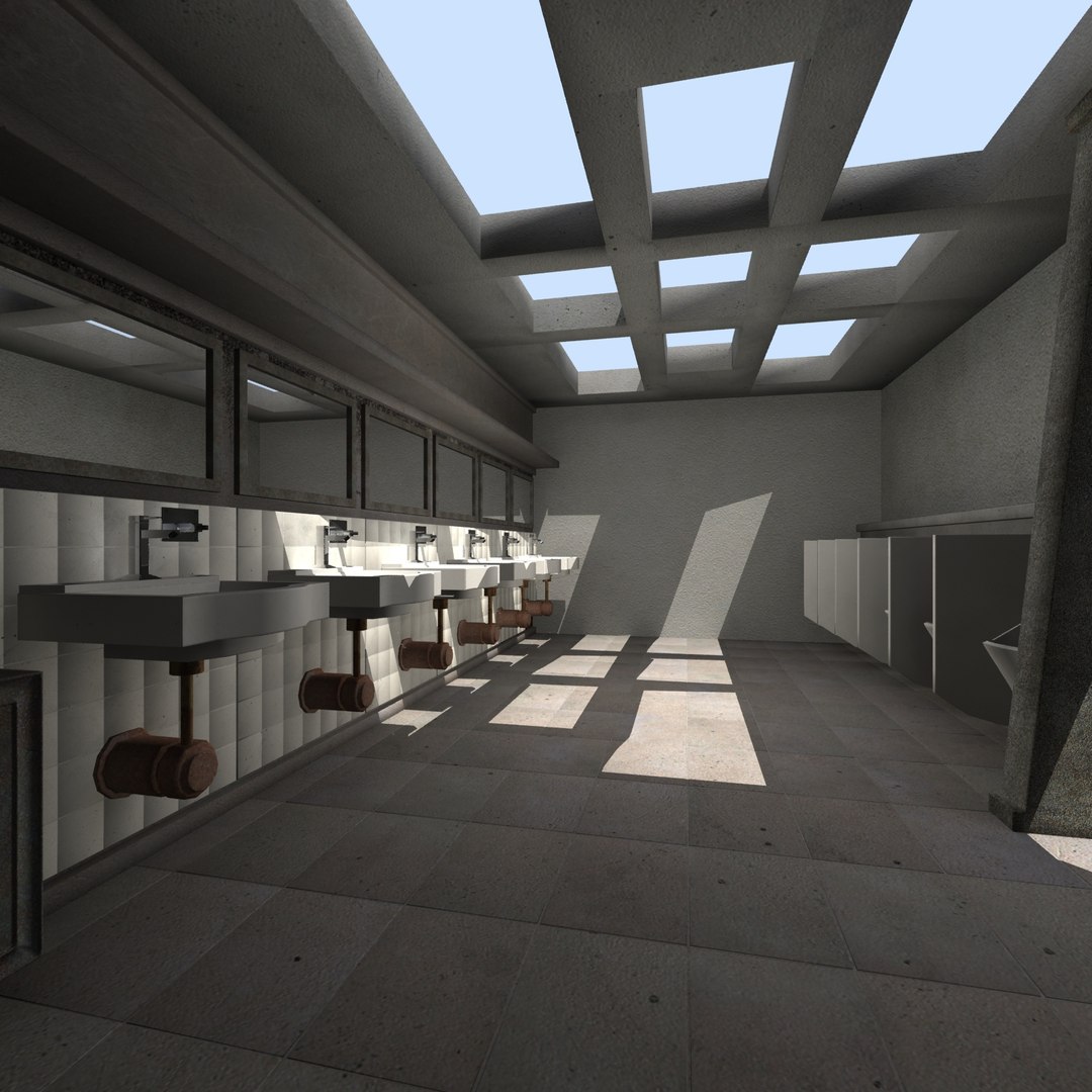 Public Toilet Room Washroom Max