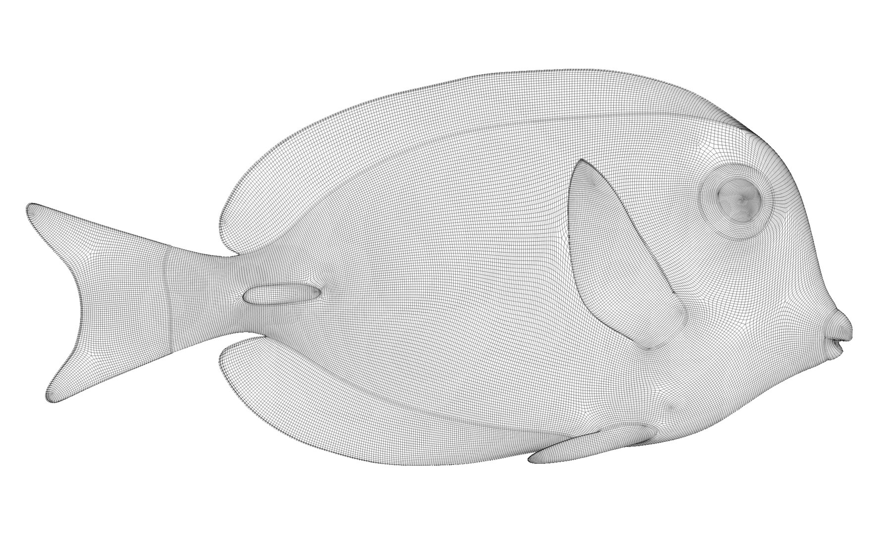 Powder Blue Tang Fish 3D - TurboSquid 2045013