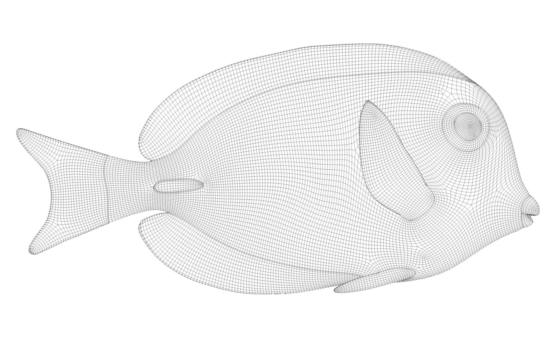 Powder Blue Tang Fish 3D - TurboSquid 2045013