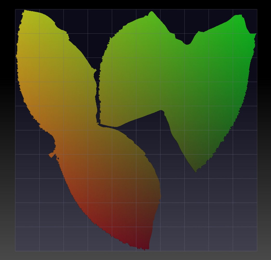 3d anatomical ultimate human skull
