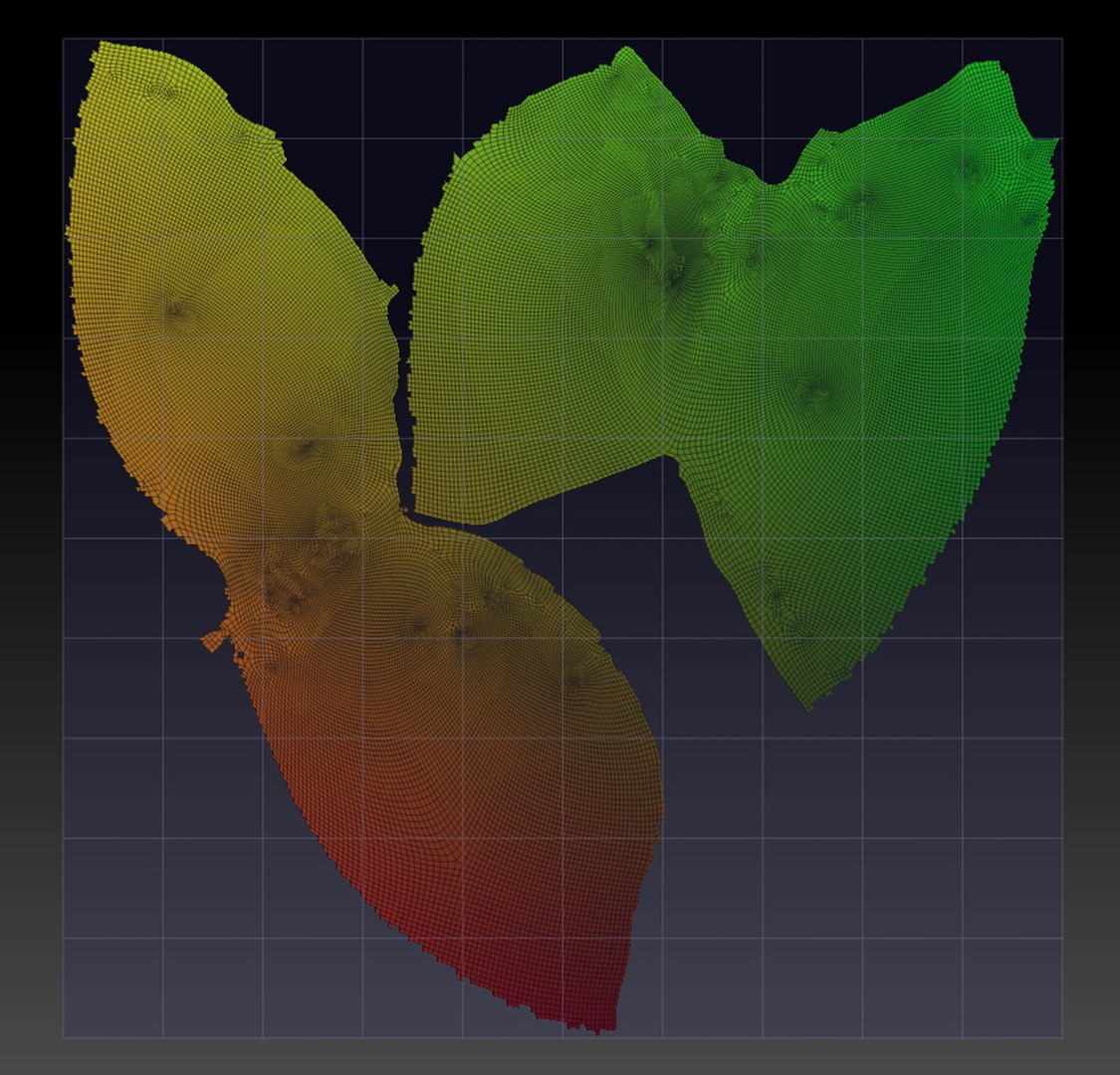 3d anatomical ultimate human skull