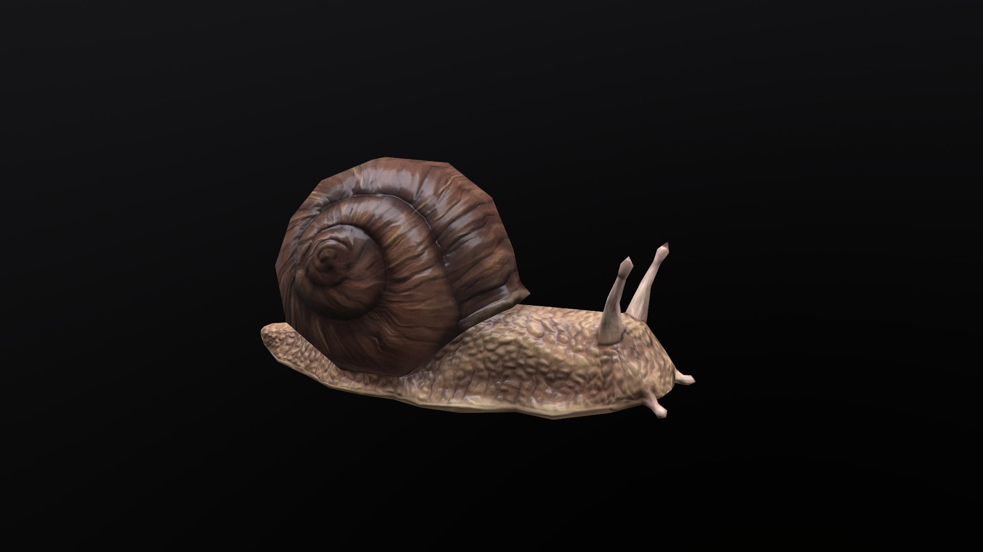 modelo 3d low poly animated snail - TurboSquid 2033320