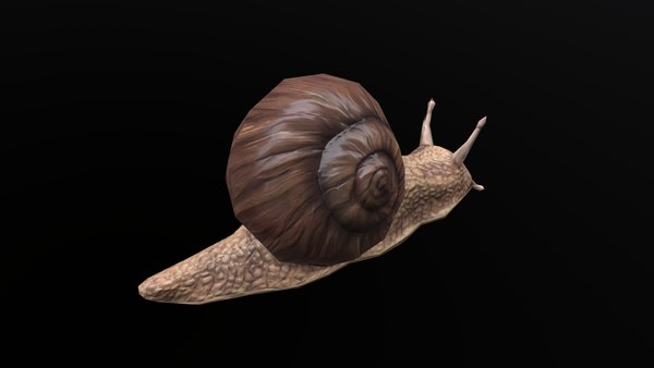 modelo 3d low poly animated snail - TurboSquid 2033320