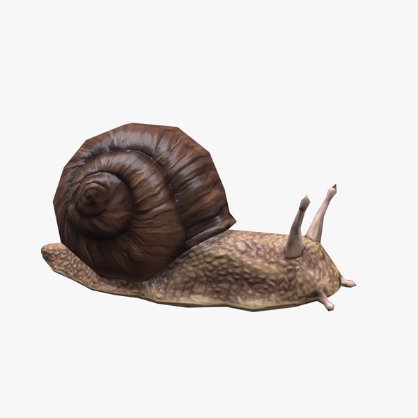 modelo 3d low poly animated snail - TurboSquid 2033320
