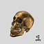 Bronze Human Skull 3D Model - TurboSquid 1498821