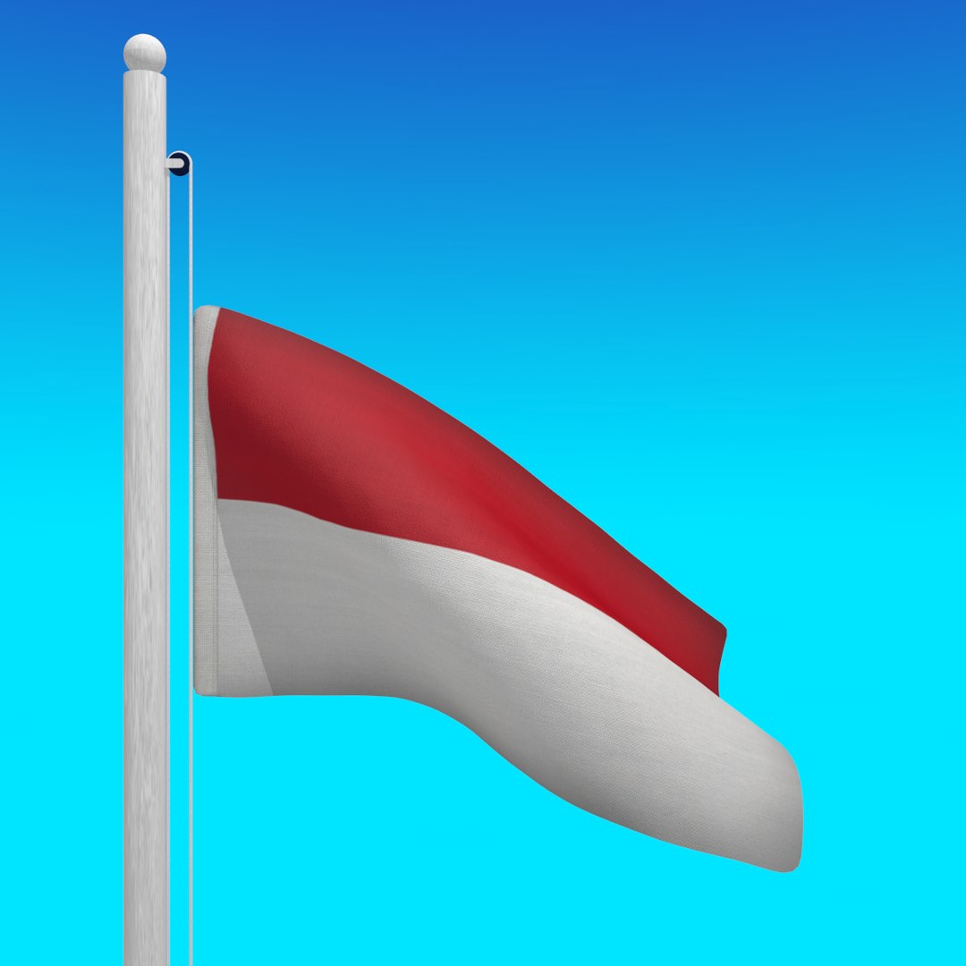 3d flags indonesia - loop model