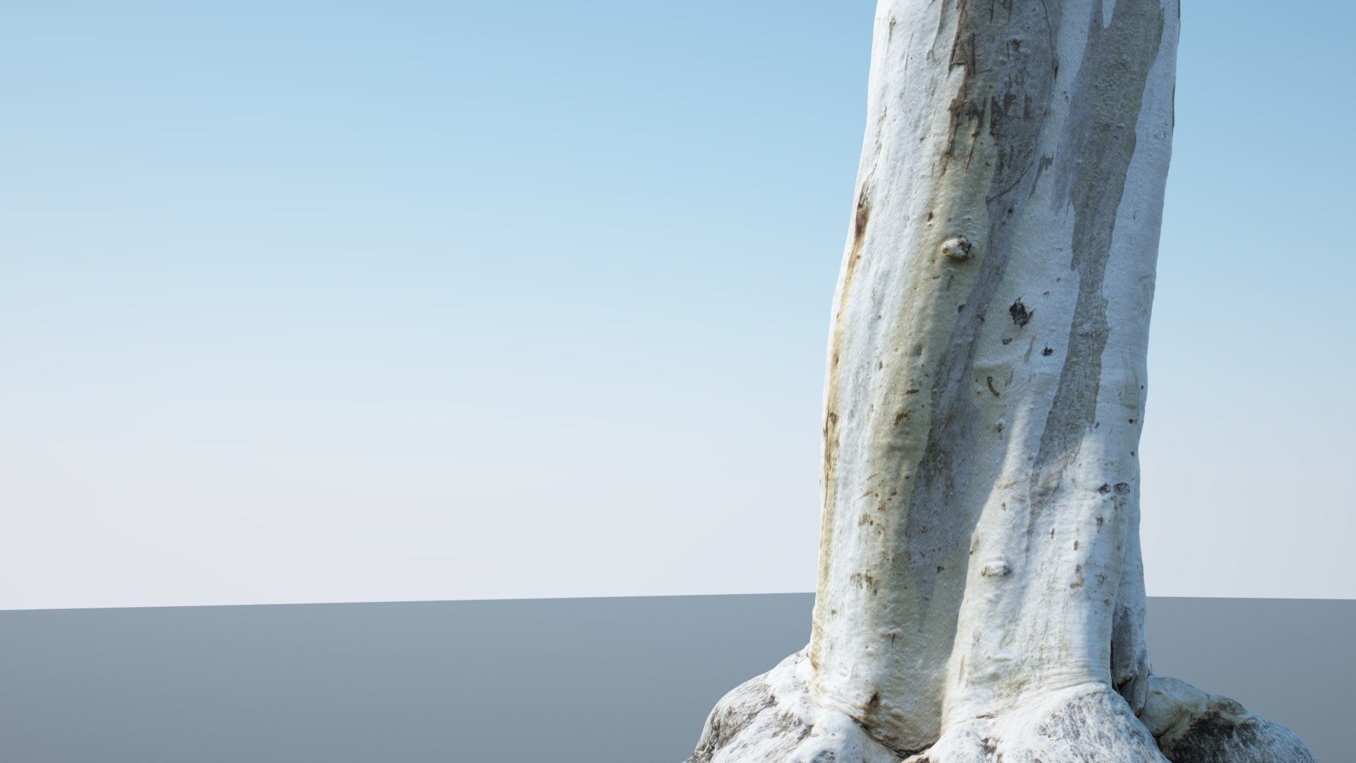 Tree Trunk - 3D Model - TurboSquid 1459640